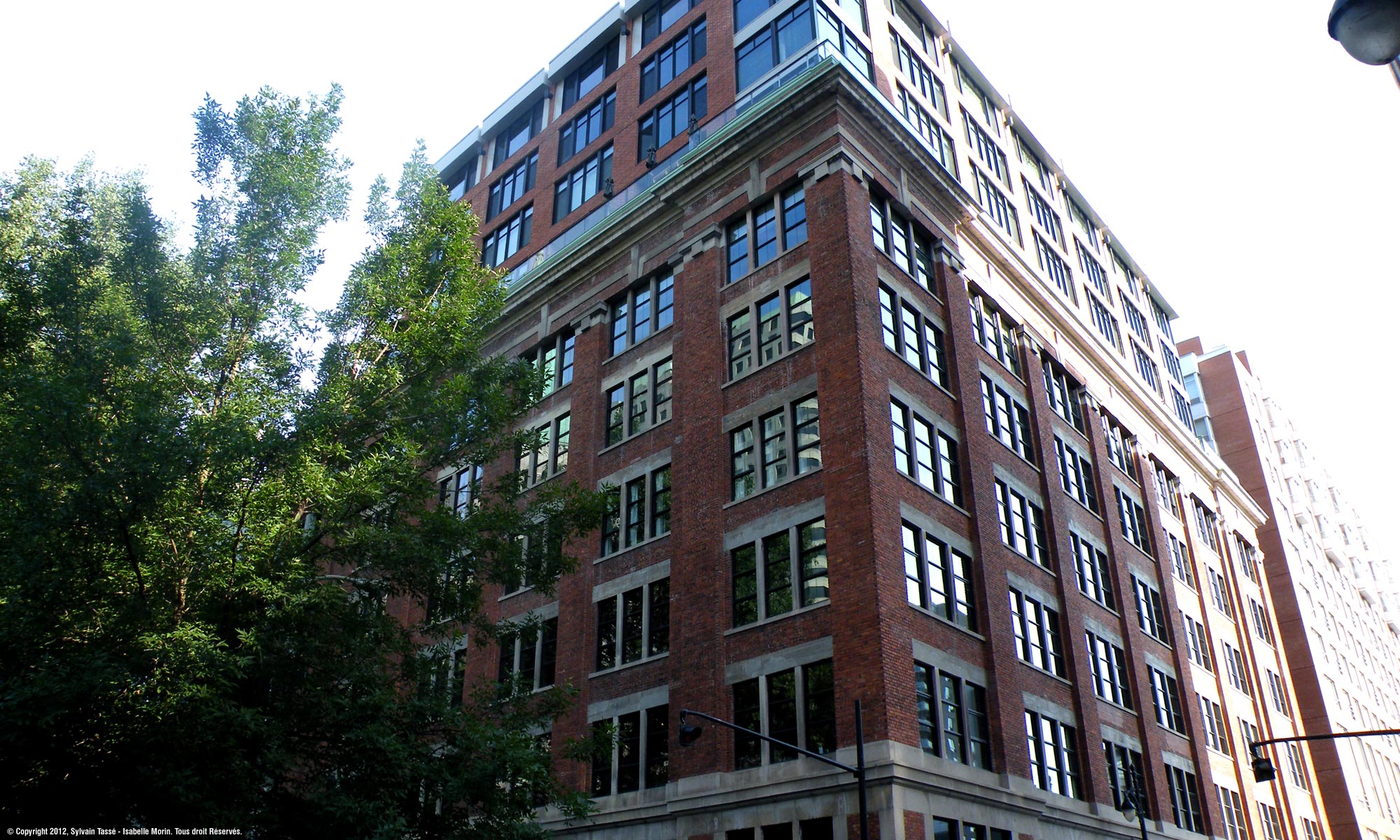 Lofts Wilson